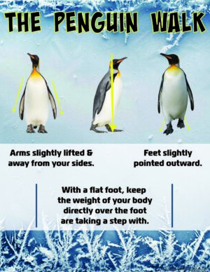 The Penguin Walk 2293 Safety Poster | Harkins Safety